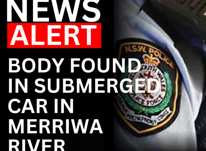 MHV NEWS – Real News, Local Views